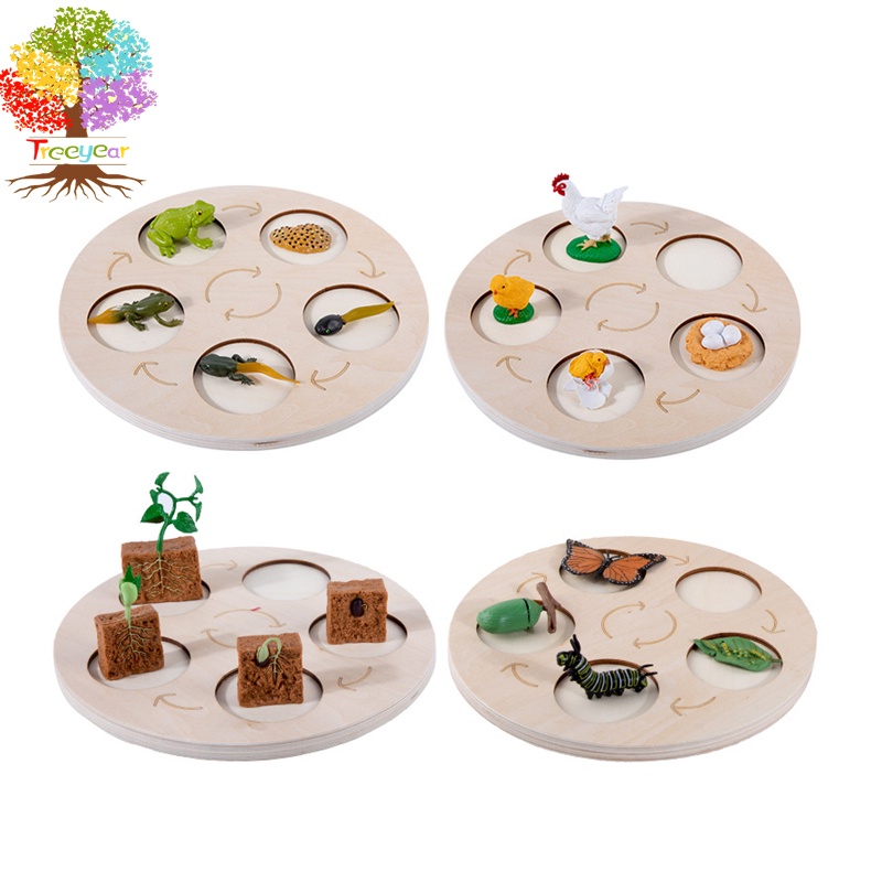 Treeyear Life Cycle Kit Toy Montessori - Realistic Figurine Toys Kids ...