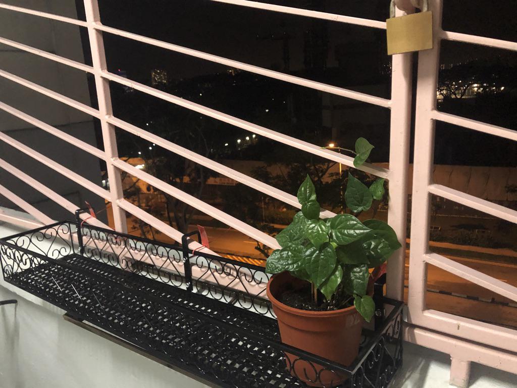 Flower Rack Parapet Hanging Planter Railing Basket Gardening Organiser ...