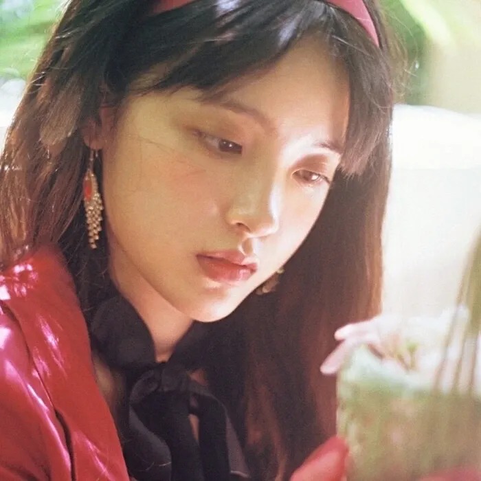 Hayden Cook(e)'s shop, Online Shop | Shopee Singapore