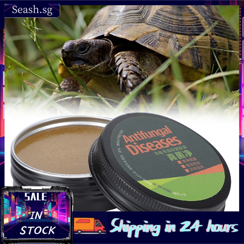[READY STOCK] Seashorehouse Antifungal Turtle Care Shell Cream Remove ...