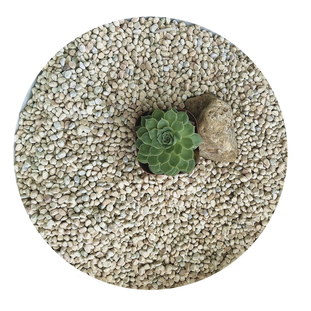 Beige Pebbles of size 5-8mm of weight 4.5kgs | Shopee Singapore