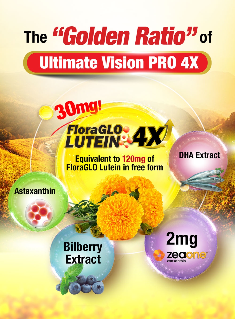 [2 Boxes] AFC Ultimate Vision PRO 4X FloraGLO Lutein 4X Eye Supplement ...