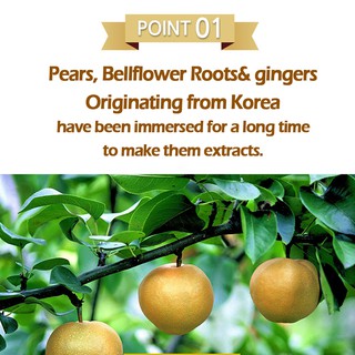 Korean Pear & Bellflower Root Juice 100% 100ml X 30packs by Better ...