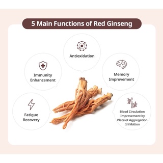 Atomy Glucose Care Banaba & Red Ginseng - Korean Health Supplement ...