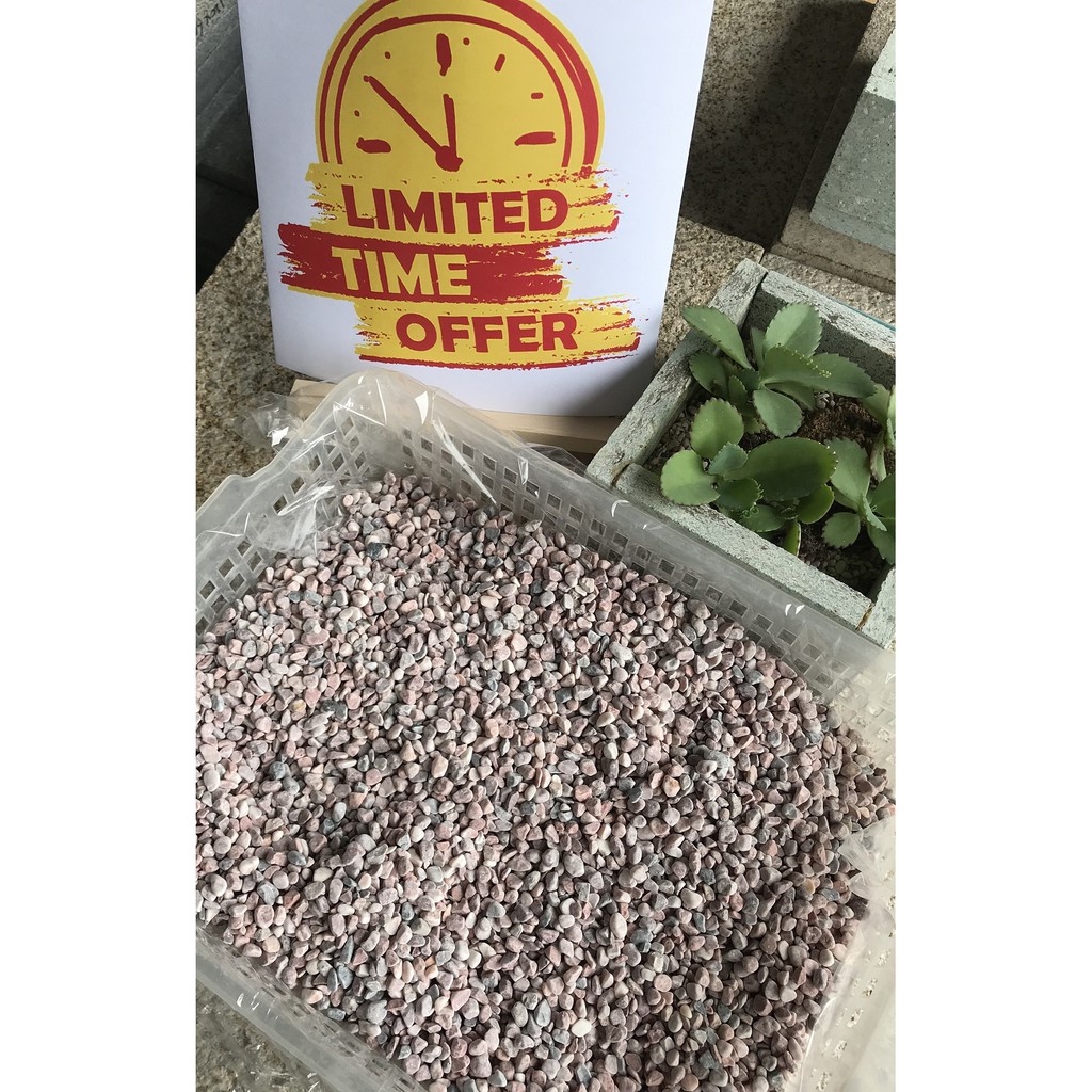 Pebbles Stone Pink colour of 5mm x 3kgs | Shopee Singapore
