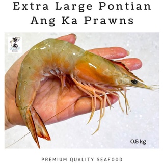 [Ah Kow Fresh Seafood] Sua Lor Wild Caught Small Prawns 500g | Shopee ...