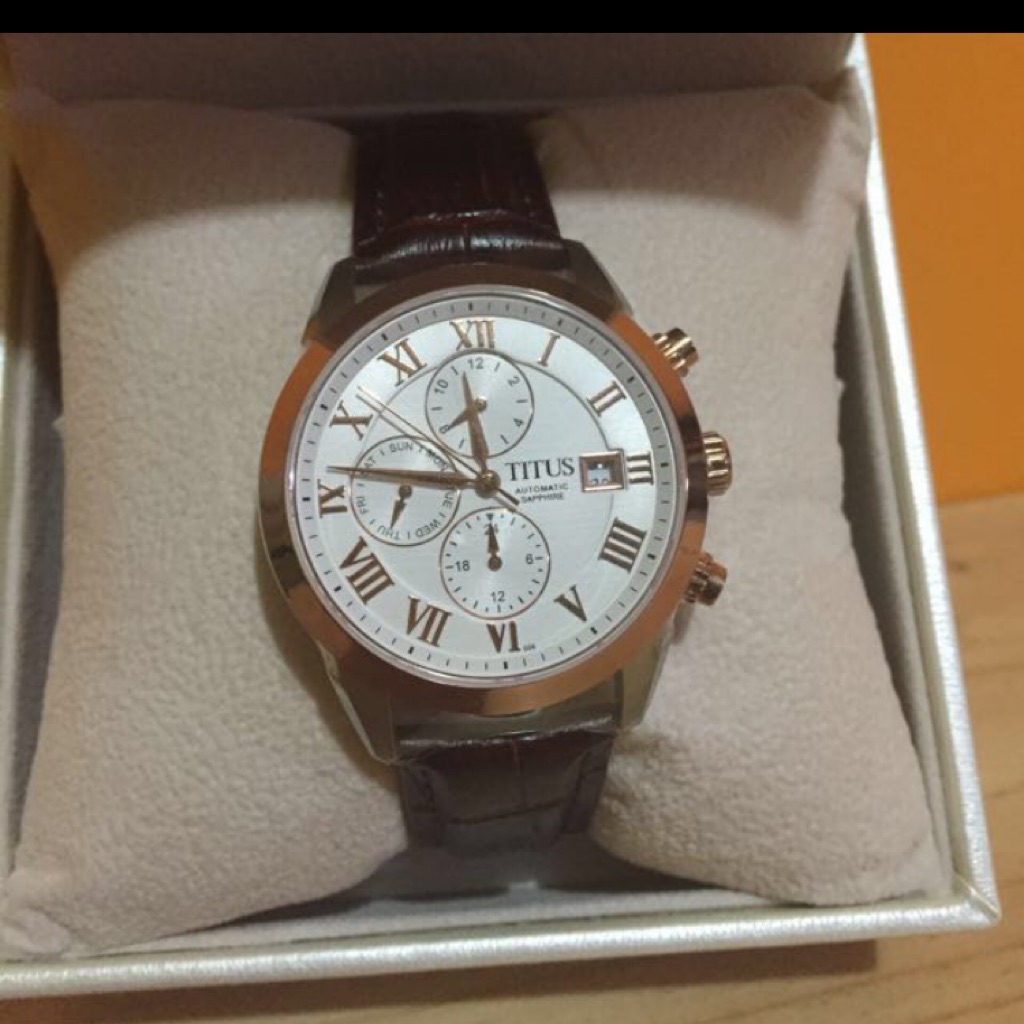 Authentic Solvil Titus Automatic Watch (Brown) | Shopee Singapore