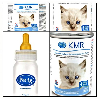 KMR Kitten Milk Replacer Powder Lb Bag UPCO