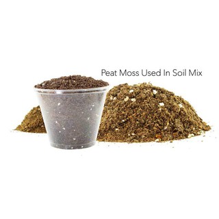 Peat Moss, Potting Mix Base / Seed Germinating Medium / Hydroponics ...