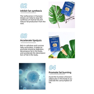 100% original PILLBOX ONAKA Reduces Belly Fat Dietary Nutrients 60 Tablets made in japan ...