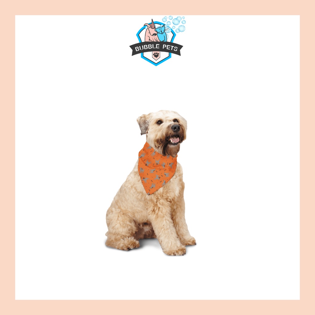 Insect Shield Paisley Flea & Tick Repellent Bandana for Dogs (Orange ...
