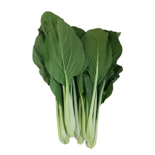 Fresh Chye Sim, Cai Xin, Chye sum | Shopee Singapore