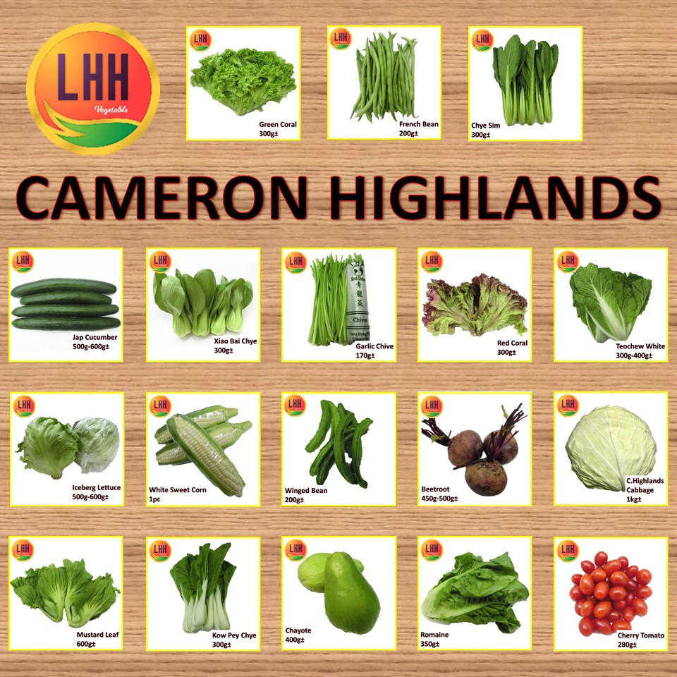 [LHH] Cameron Highlands Vegetables [Fresh Vegetables] | Shopee Singapore