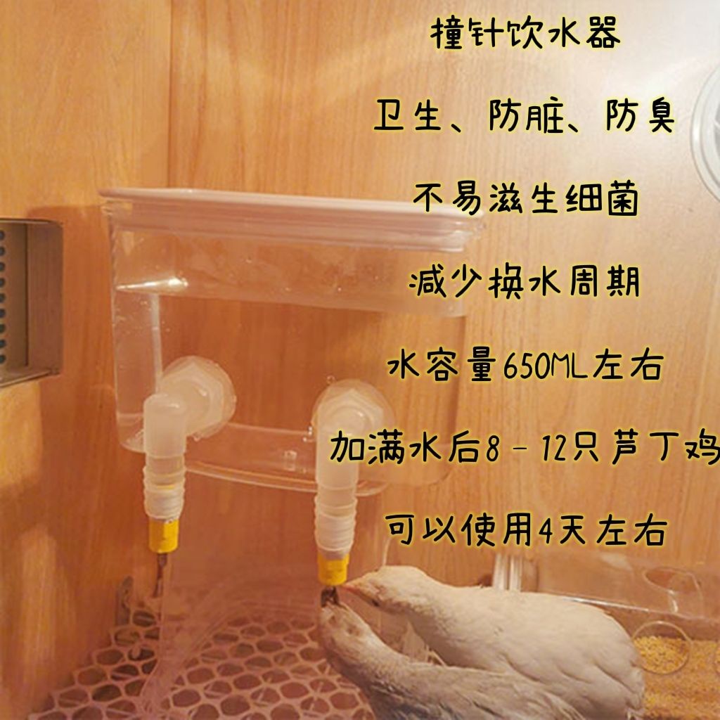 Luding Chicken Food Feeder Trough Drinking Fountain Pigeon Parrot Quail ...