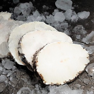 Seafood Market Place by Song Fish Official Store, Online Shop Aug 2022 ...