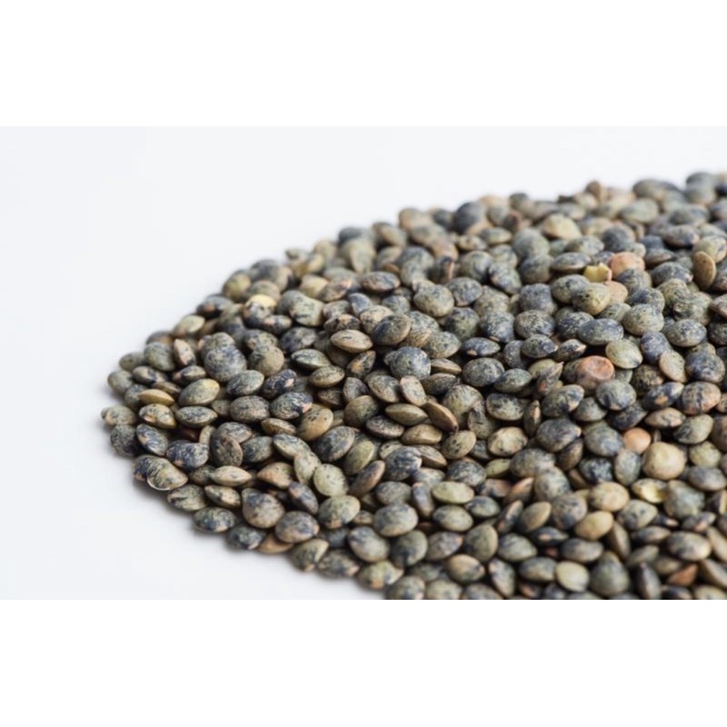 Organic Lentils For Sprouting - 500grams | Shopee Singapore