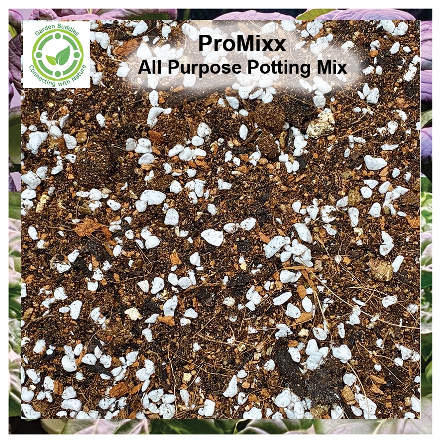 [ProMixx] Quality All Purpose Potting Mix / Soil-less potting mix with ...