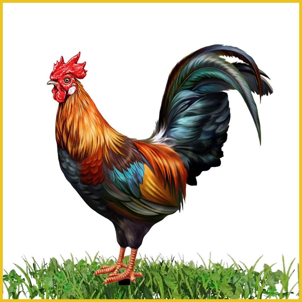 Rooster Yard Decor Weatherproof Outdoor Chicken Decor Acrylic Chicken ...