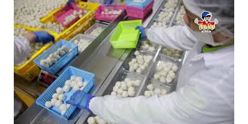 Enjoy DoDo Official Store, Online Shop | Shopee Singapore