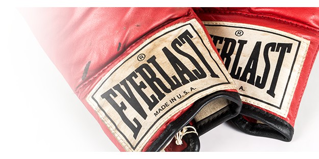 Everlast Singapore Official Store, Online Shop Aug 2022 | Shopee Singapore