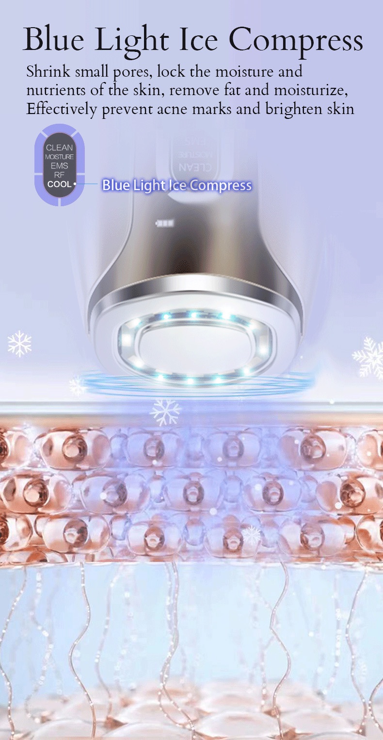 BIOSKIN Smart RF Beauty Device EMS Face Lifting Facial Mesotherapy ...