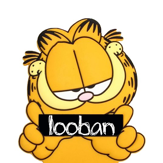 looban case, Online Shop | Shopee Singapore