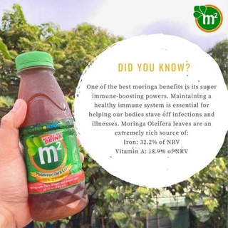 M2 Moringa Tea Drink Concentrate 300ml 1000ml to Drink 320ml | Shopee ...