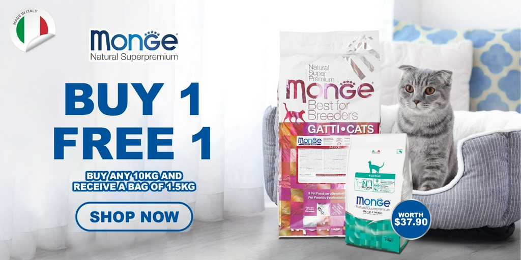 B2K Pet Care Official Store, Online Shop | Shopee Singapore