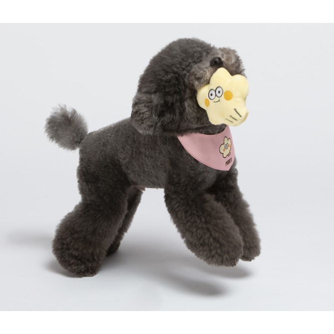 A Toy Dog That Poops