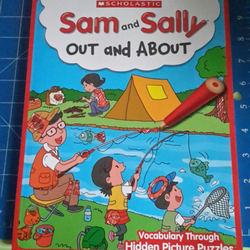 Scholastic Sam and Sally Out and About, Hidden pictures brand new ...