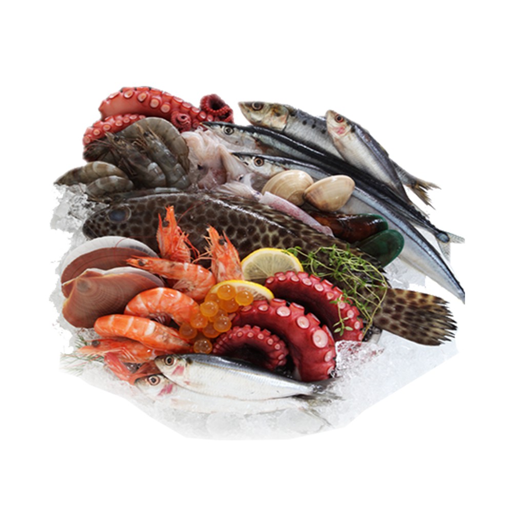 Meat and Seafood By Oceanwaves Official Store, Online Shop Jul 2022 ...