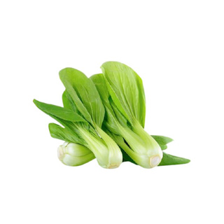 vegetable - Prices and Deals - Aug 2021 | Shopee Singapore