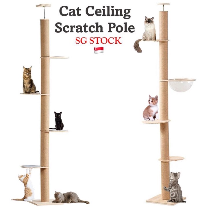 [SG SELLER] Cat Condo Solid Wood Condo Cat Climbing Tree Tower ...