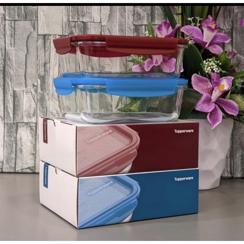 Tupperware PremiaGlass Rectangular 1L (Microvable) | Shopee Singapore