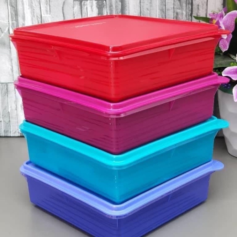 Tupperware B2B Snack Stor 2.9L (Tupperware Snack Stor) | Shopee Singapore