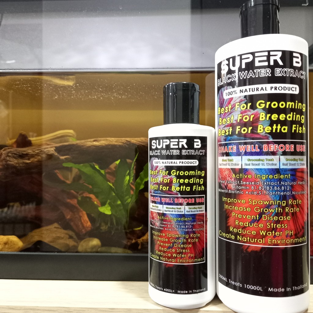Blackwater Extract Fish Tank