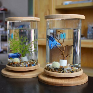 **Ready Sg Stock**TABLE TOP FISH TANK ROUND SHAPED with Light(14.5CM ...