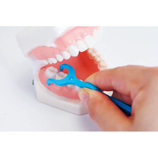 Lion Clinica Y-Shape Flosser 18pc/pack | Shopee Singapore