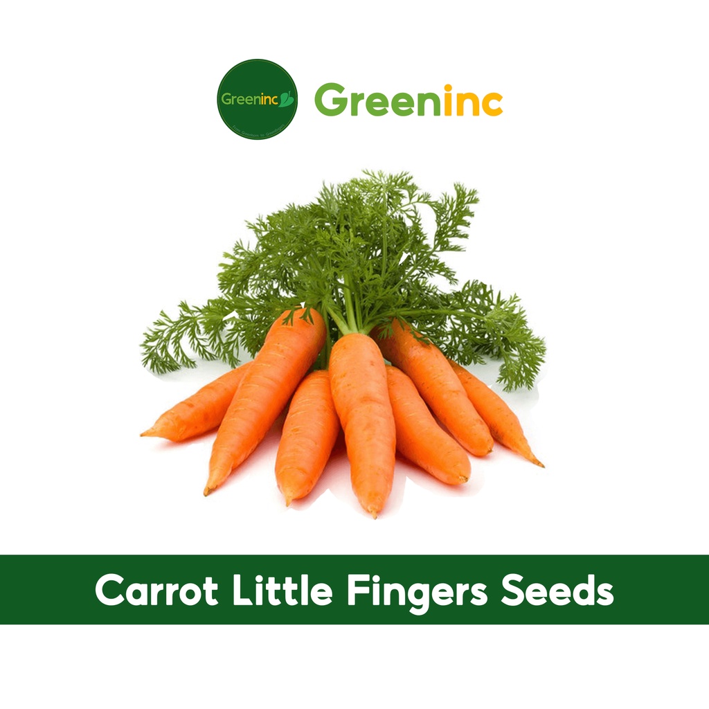 Carrot Little Fingers Seeds (小手指胡萝卜) Vegetable Seeds from SG | Shopee ...