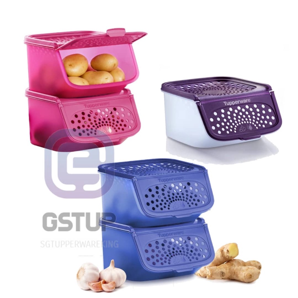 Tupperware Garlic N All Keeper 2.3L | Shopee Singapore