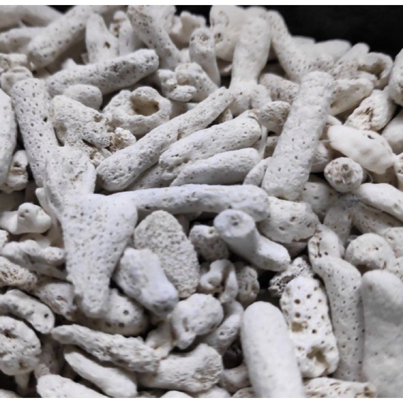 Aquarium Coral Chips With bag (1 Pack 500g) Used to buffer aquarium ...