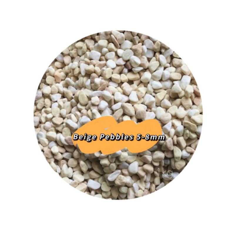[SG SELLER READY STOCK] 1kg 5-8mm Beige pebbles stones rock succulents ...