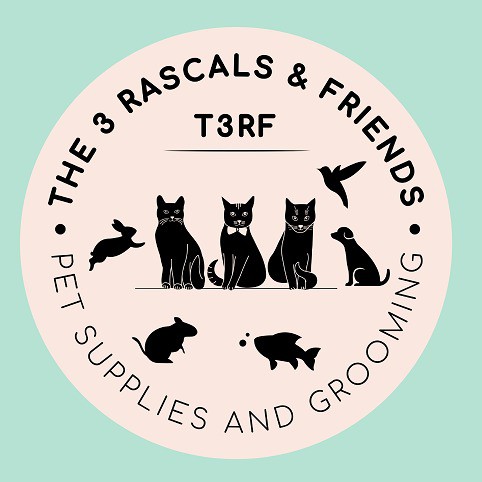 The 3 Rascals SG, Online Shop | Shopee Singapore