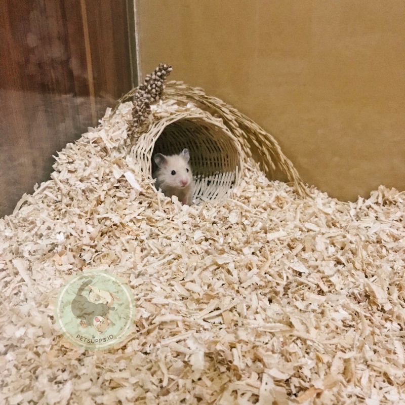 Hamster House | Hamster hideout | Rattan | Shopee Singapore