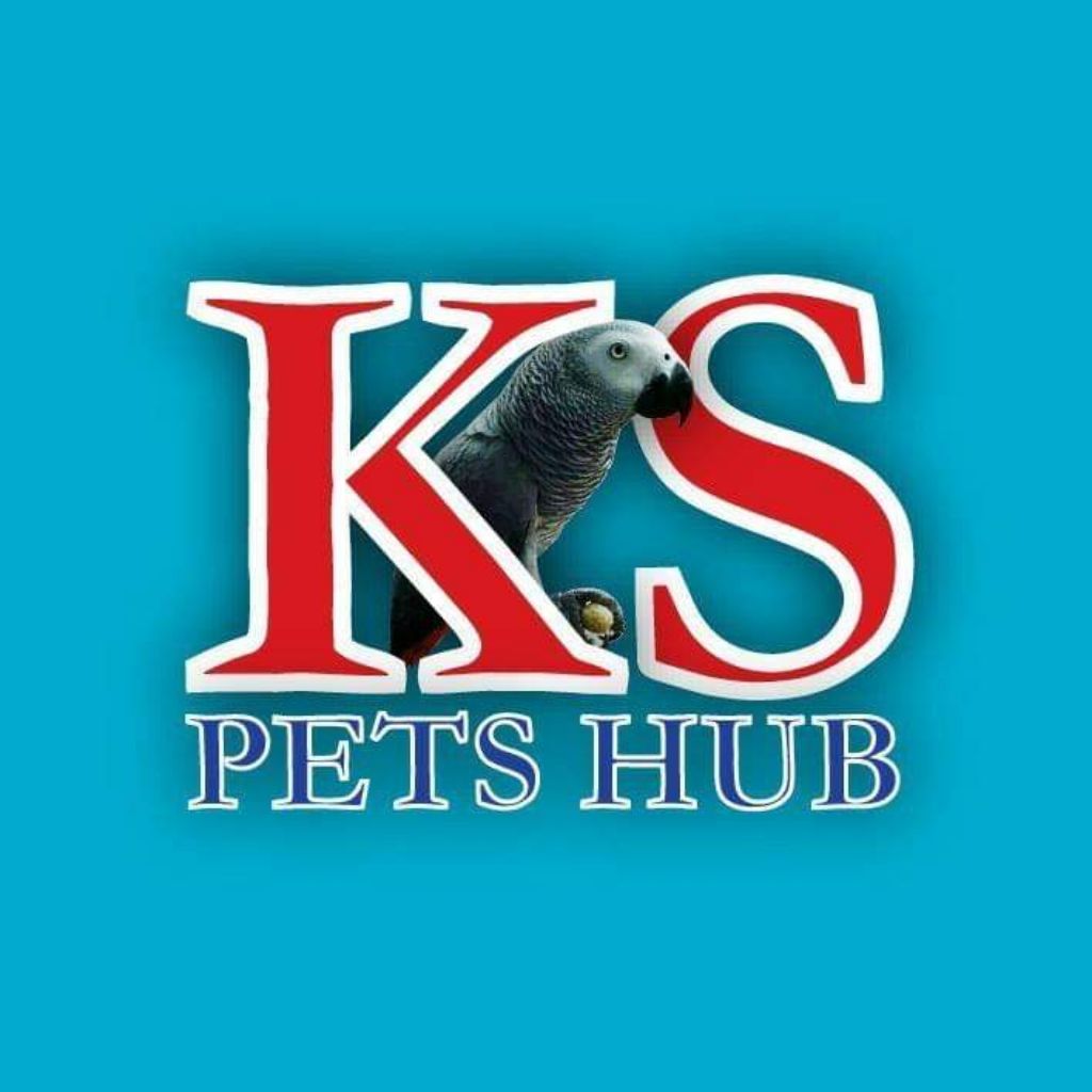 KS Pets Hub, Online Shop | Shopee Singapore