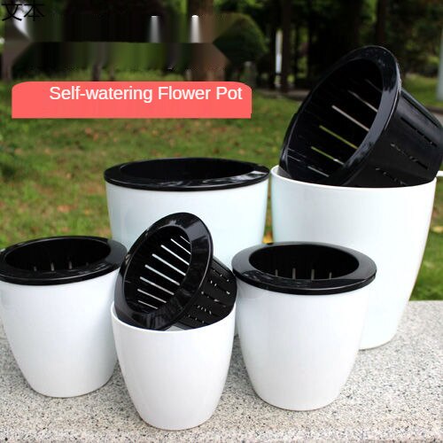 Thick White Automatic Water Feeding Flowerpot Plastic Chlorophytum ...