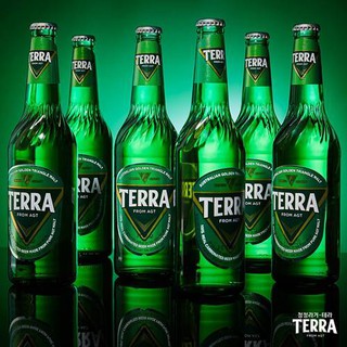 TERRA Beer BTL 500ml 테라 맥주병 500ml | Shopee Singapore