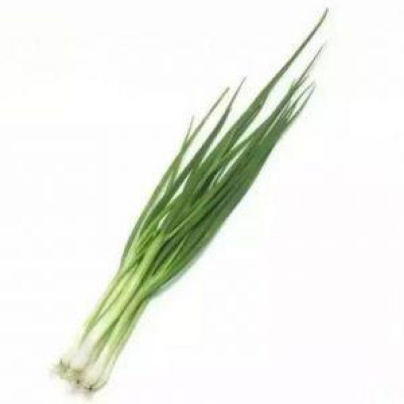 Spring onion [ VG 49 ] | Shopee Singapore