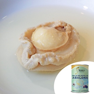 Seaco Official Store, Online Shop | Shopee Singapore