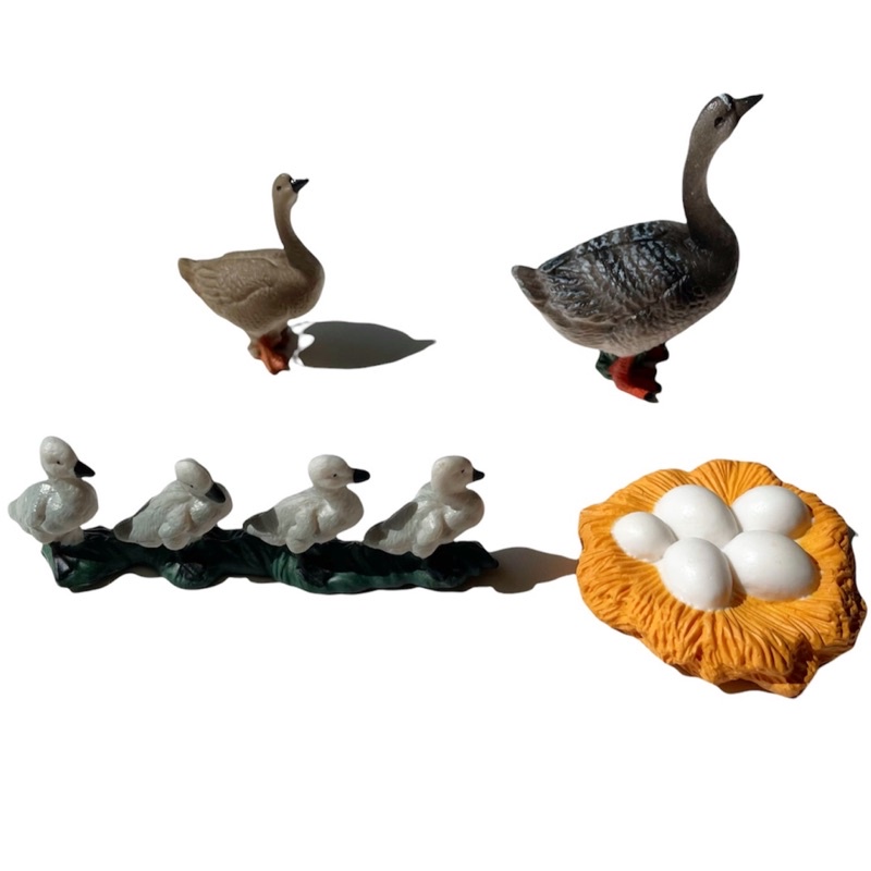 [SG Ready Stock] Grey Goose Lifecycle | Shopee Singapore